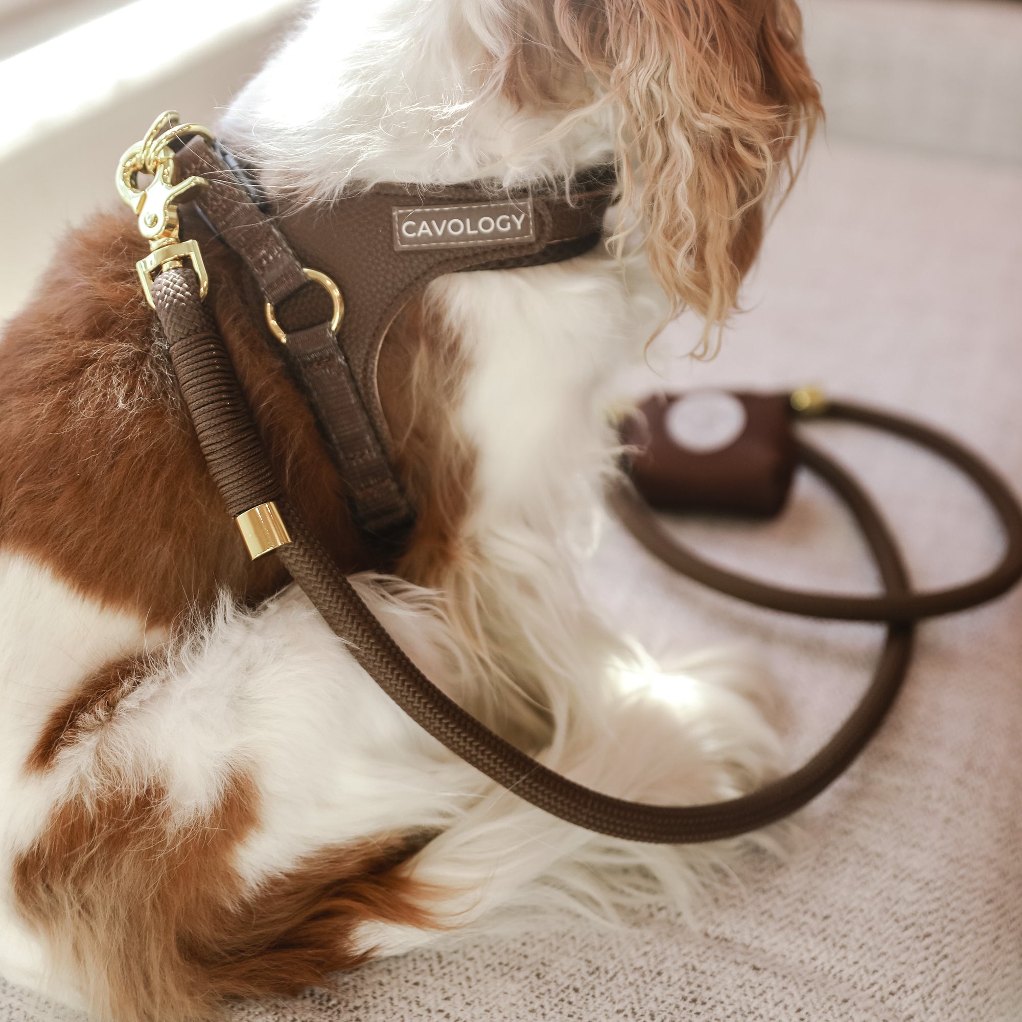EASY-O STEP IN HARNESS - Chocolate Brown